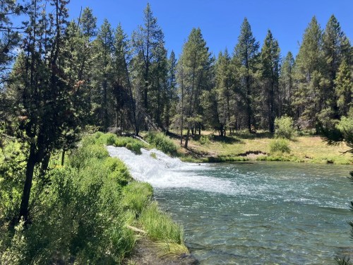Fall River Loop: Bucket-List-Worthy Forest Hike in an Oregon State Park