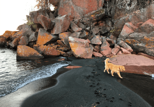 Hamel, MN Is Home To One Of The Largest Rodeos In Minnesota