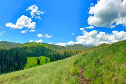 Hidden Gem National Forest in Arizona: Apache-Sitgreaves National Forest