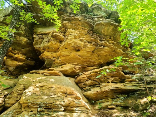 Hidden Gem State Forest in Oklahoma: Keystone Ancient Forest, Sand Springs