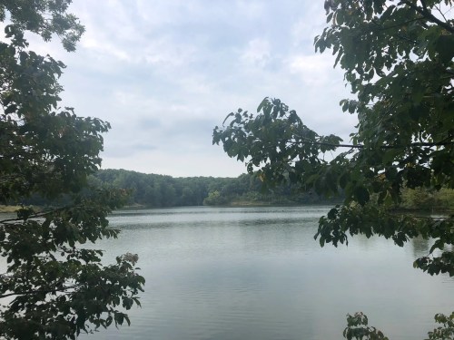 8 of the Best Beaches in Arkansas for Sand Sun and Fun