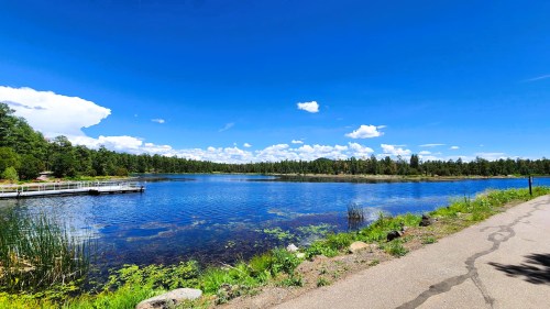 Hidden Gem National Forest in Arizona: Apache-Sitgreaves National Forest