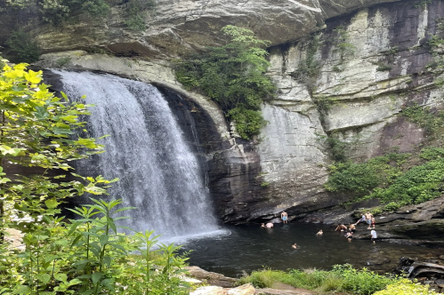 Best Springtime Hike in North Carolina: Explore the Daffodil Flats in ...