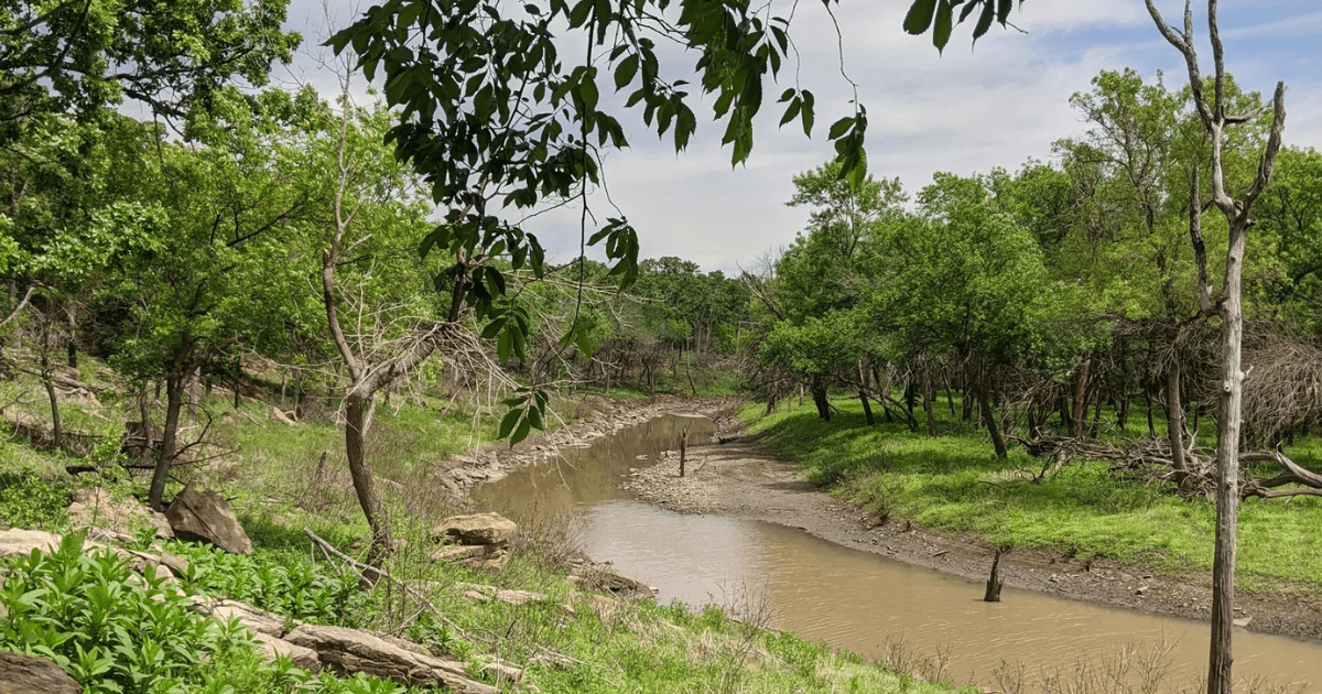 Kansas' Most Underrated State Forest You Need to Visit