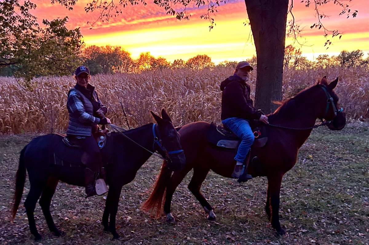 A Moonlight Horseback Ride Is a True Nighttime Adventure in Illiniois