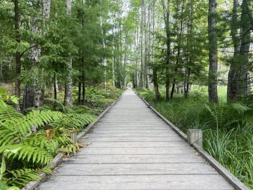 Find Homemade Goods At This Amish Store In Unity, Maine