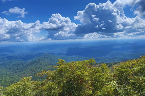 Best Springtime Destination in Georgia: Visit Gibbs Gardens in Ball ...