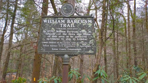 The Bartram Trail in Georgia is the Perfect Appalachian Trail Dupe