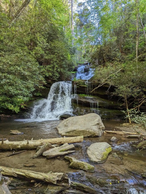 The Bartram Trail in Georgia is the Perfect Appalachian Trail Dupe