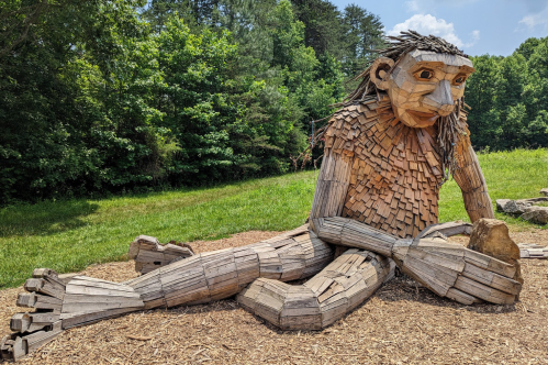 The Tulips at Ruby Branch Farms in Kentucky are Stunning