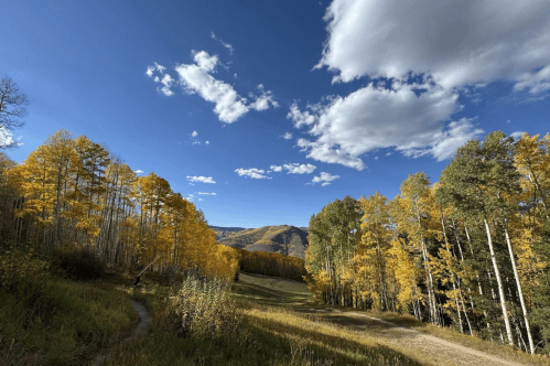 Can't Miss Beautiful Short Alpine Hiking Trail in Vail Colorado