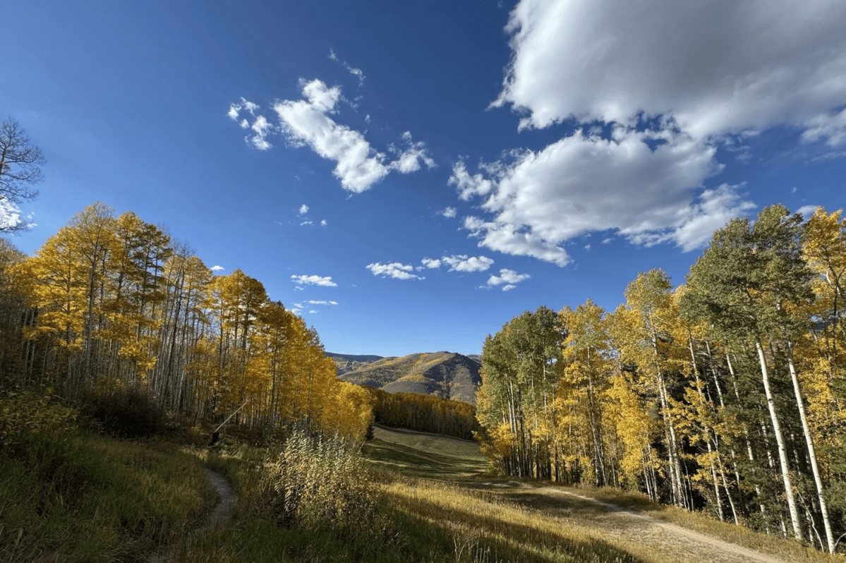 Can't Miss Beautiful Short Alpine Hiking Trail in Vail Colorado