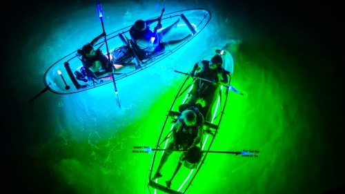 GlowRow: Glow-In-The-Dark Galveston Kayak Tour In Texas