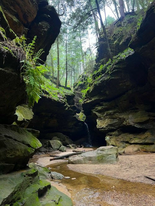 Conkle’s Hollow: Ohio’s Hidden Gorge That Feels Like the Pacific Northwest