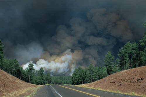 Antelope Canyon Deaths: Flash Flood In Arizona Ends In Tragedy