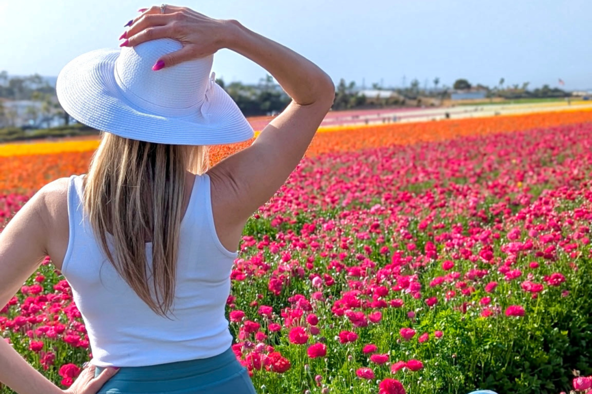 The Flower Fields of Carlsbad: SoCal Spring Experience