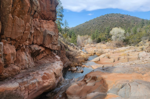 Things To Do In Heber-Overgaard: Arizona Mountain Towns