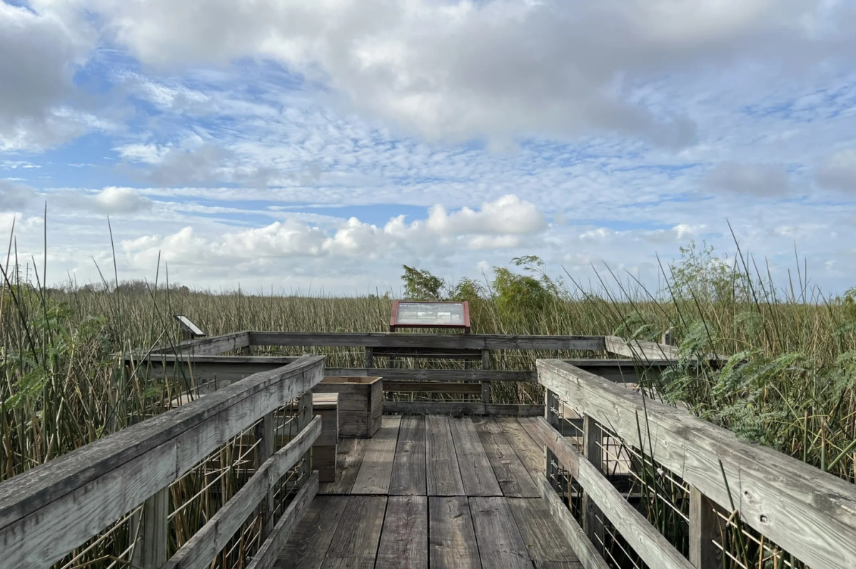 You Have to Experience This Bayou Hike in Louisiana for Yourself