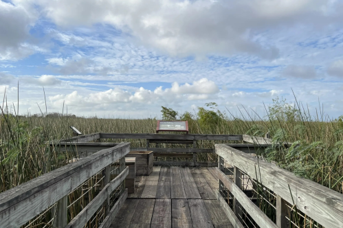 Best Road Trips in Louisiana: 12 Road Trip Ideas + Itinerary