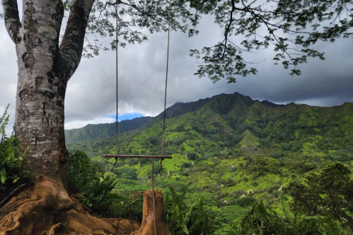 Moalepe Trail on Kauai: Bucket-List-Worthy Jungle Hike in Hawaii
