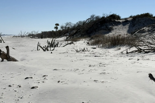 Florida State Road A1A: A Stunning Scenic Drive