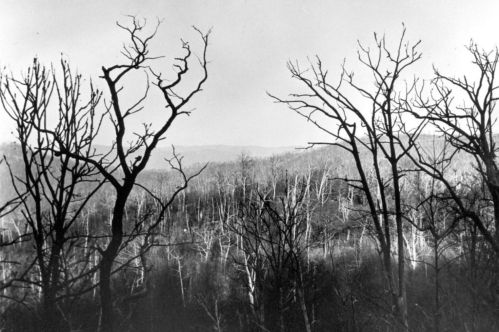 14 Places In Virginia With the Best Weather