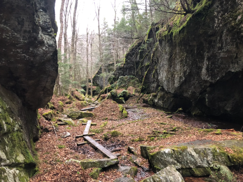 Explore Devil's Gulch a Stunning Gulch Hike in Vermont
