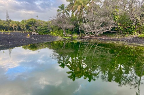Pohoiki Hot Springs in Pāhoa: Swim in Hawaii’s Naturally Heated ...
