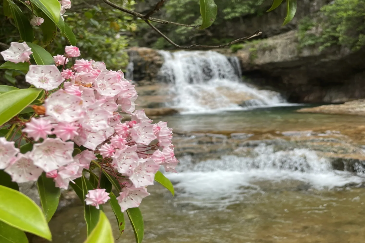 Saint Mary’s Falls Is the Ultimate Swimming Hole in Virginia