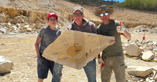 Fossil Lake in Wyoming: A Perfect Family Road Trip Detour