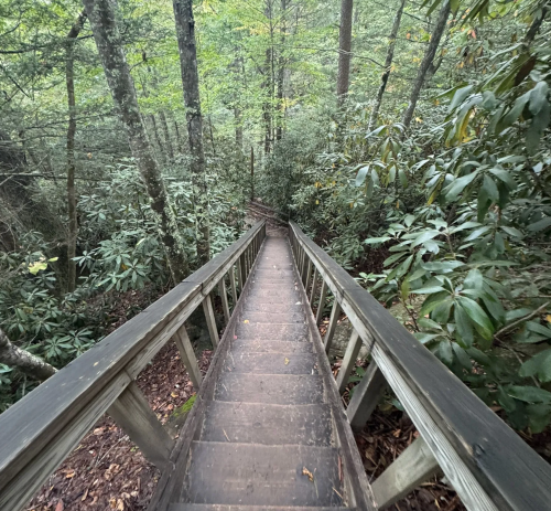 This Natural Arch Hike in Kentucky Is Perfect for Beginners