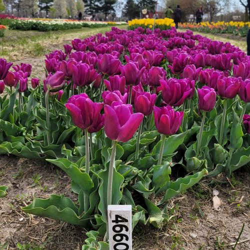 5 Relaxing Day Trips From Detroit (My Favorite Included)