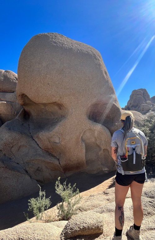 Skull Rock Trail: One of the Best Hikes in Joshua Tree National Park