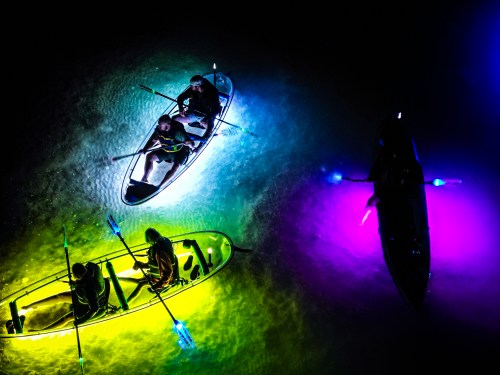 GlowRow: Glow-In-The-Dark Galveston Kayak Tour In Texas