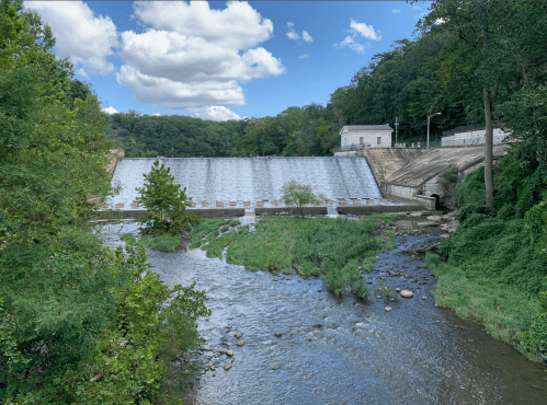Best Waterfalls in Maryland: 12 Local Favorites & Hidden Gems