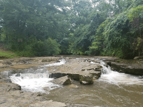 Best Waterfalls in Mississippi: 12 Local Favorites & Hidden Gems