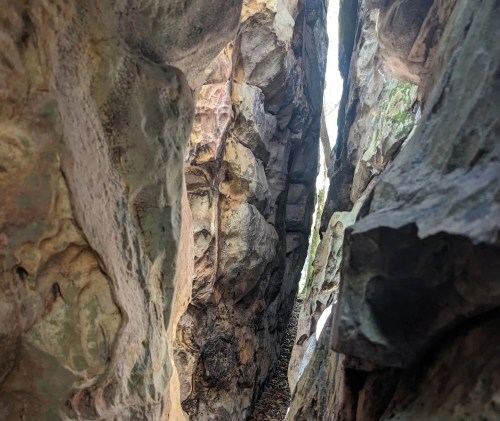Georgia's Rocktown Trail Is an Underrated Gem