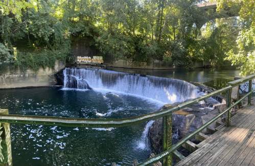 Best Waterfalls in Maryland: 12 Local Favorites & Hidden Gems