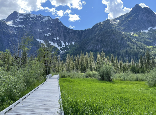 Big Four Ice Caves Trail: Tackle This Ice Cave Hike in Washington State