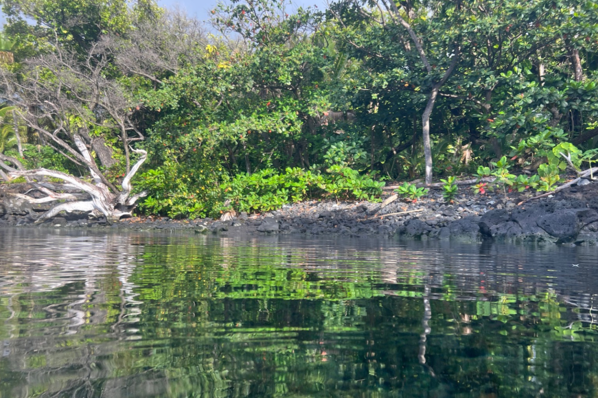 Pohoiki Hot Springs in Pāhoa: Swim in Hawaii’s Naturally Heated ...