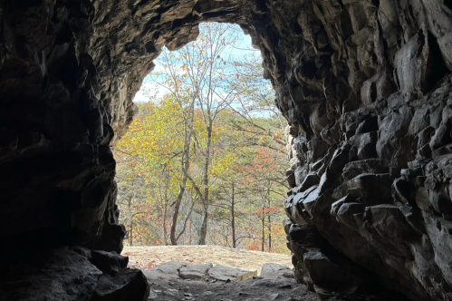 NC's Devil's Tramping Ground: The Creepy Spot Inspired A Movie