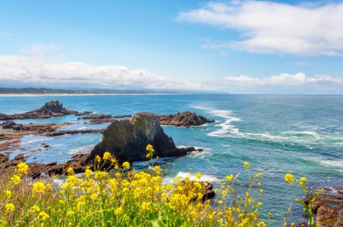 The 11 Most Beautiful Oregon Coast Hidden Gems To Explore