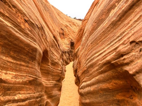 Best Slot Canyon Hike in Utah: Bighorn Canyon Trail
