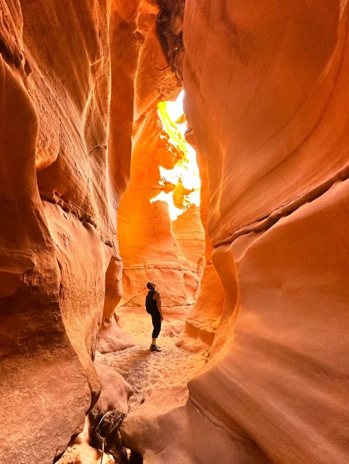 Best Slot Canyon Hike in Utah: Bighorn Canyon Trail