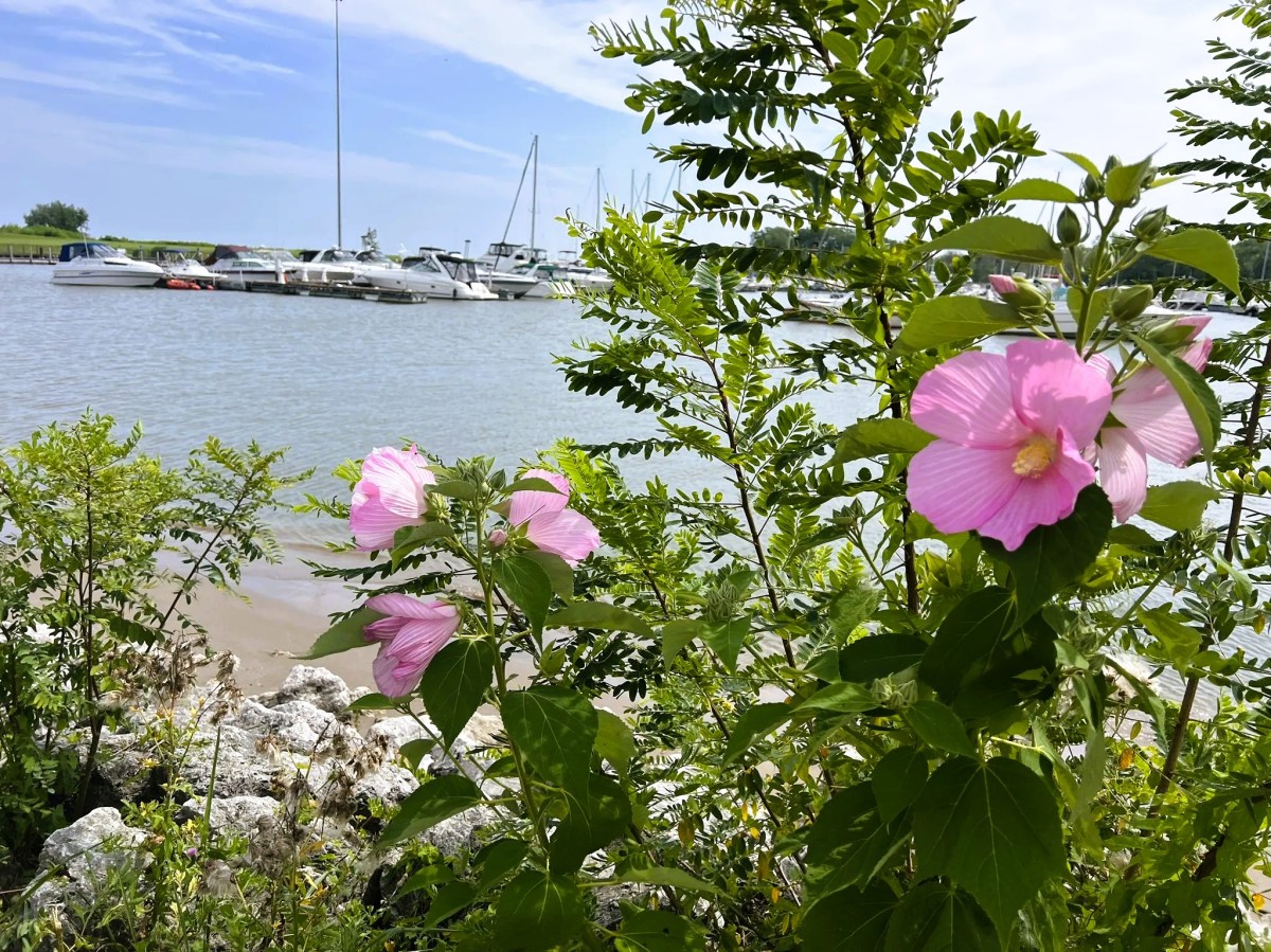 Breakwater Beach on Lake Erie: Most Iconic Swimming Hole in Ohio