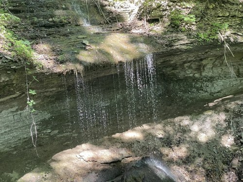 Best Waterfalls in Iowa: 12 Local Favorites and Hidden Gems
