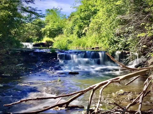 Best Waterfalls in Iowa: 12 Local Favorites and Hidden Gems