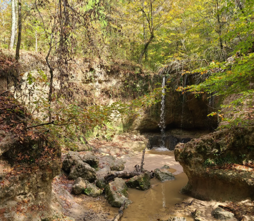 Best Waterfalls in Mississippi: 12 Local Favorites & Hidden Gems
