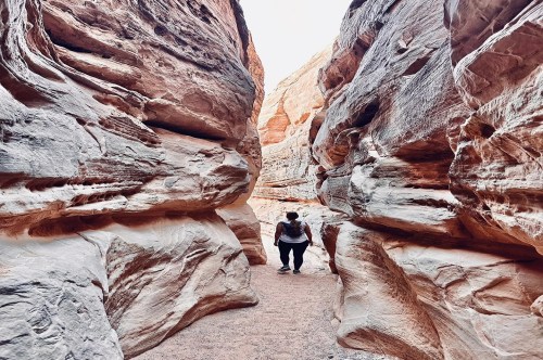 Wetlands In Phoenix, Arizona: Tres Rios Wetlands