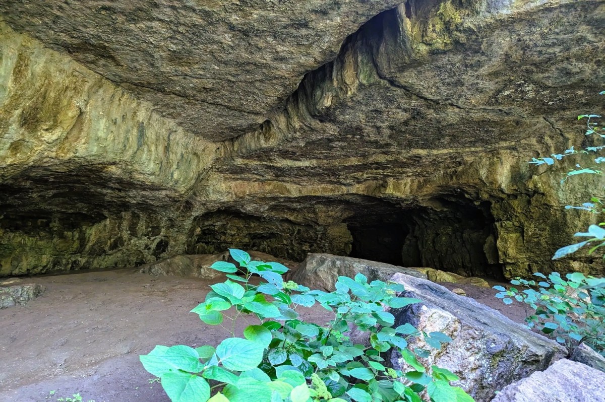 Unique Cave Adventure in Missouri: Walking Fern Trail near Stanton